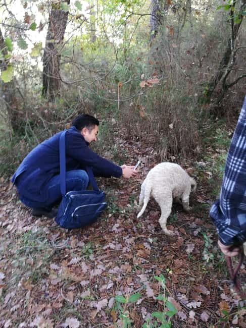 Arezzo: truffle hunting, tasting, and a cooking class with truffles. - The Culinary Demonstration and Tasting