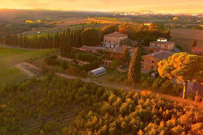 Arezzo: Wine Tasting Experience in Valdichiana area - The Experience in Detail