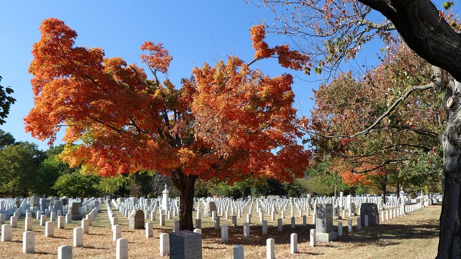Arlington National Cemetery in fall with headstones and autumn colors