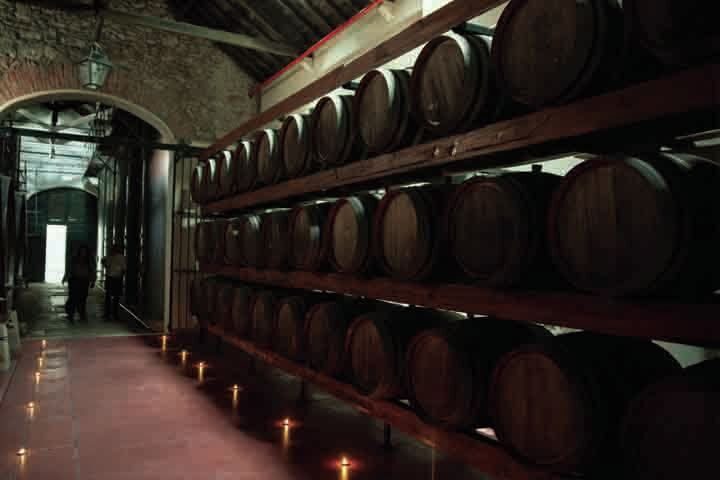 Arrábida: Full-Day Private Tour with Wine Tasting - A Complete Look at the Arrábida Private Tour