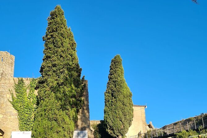 Arrábida: Private Setubal Highlights Tour (Full Day) - Who Will Love This Tour?