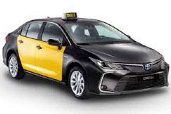 Arrival Barcelona Airport Private Transfer - Who Is This Service Best For?