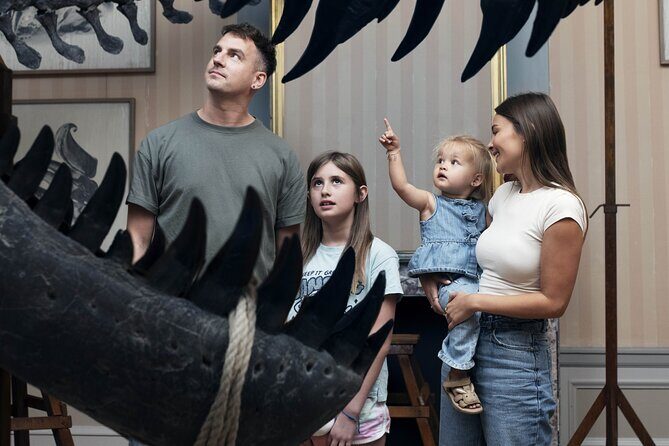 Art Zoo Museum Amsterdam Tickets - Why This Tour Resonates