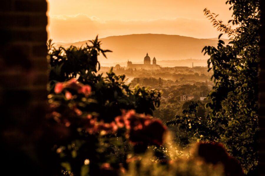Assisi: Organic Balsamic Vinegar, Olive Oil & Wine Tour - Value and Practical Considerations