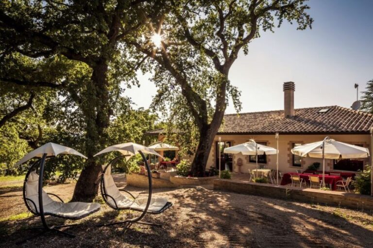 Assisi: Organic Wine and Cheese Tasting - Why You Might Love This Experience