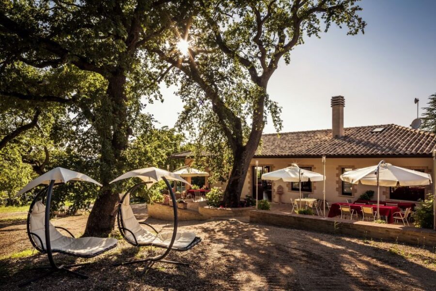 Assisi: Organic Wine and Cheese Tasting - Why You Might Love This Experience