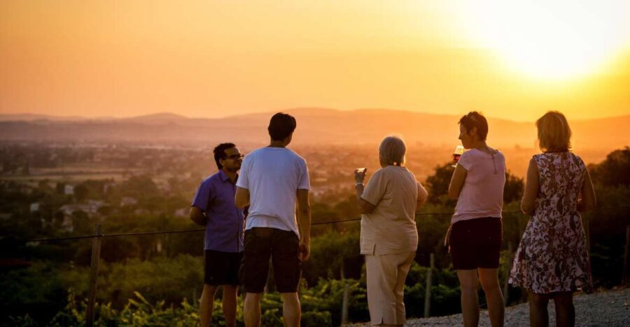 Assisi: Organic Winery Tour with Tastings & Typical Food - What to Expect at the Organic Winery
