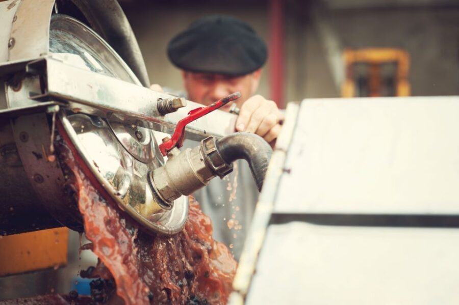 At the gates of Toulouse: from the vine to the cellar - What Makes This Experience Worth It?