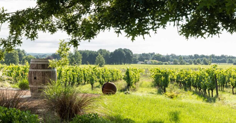 At the gates of Toulouse : Gourmet Tour - Walk and Tastings - Who Will Love This Tour?