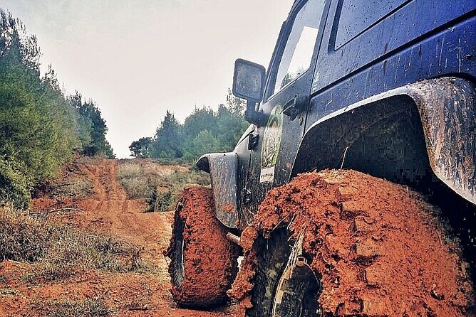 Athens: Private Off-Road Tour at Parnitha Mountain - Final Thoughts: Who Should Book This Tour?