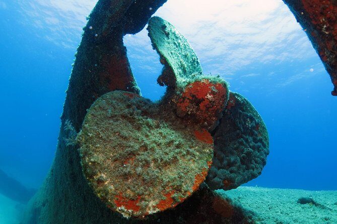 Athens Scuba Diving Experience for Certified Divers with Pickup - Reviews from Real Divers