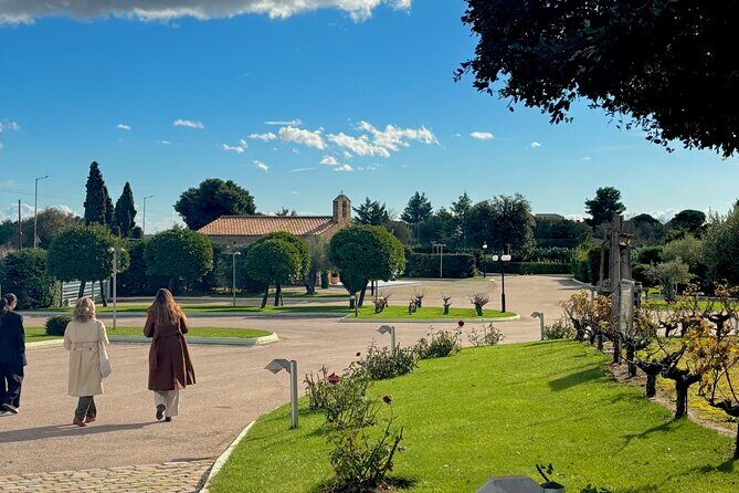 Athens wine tour: Wine museum and wine tasting with food pairing - A Deep Dive into the Athens Wine Experience