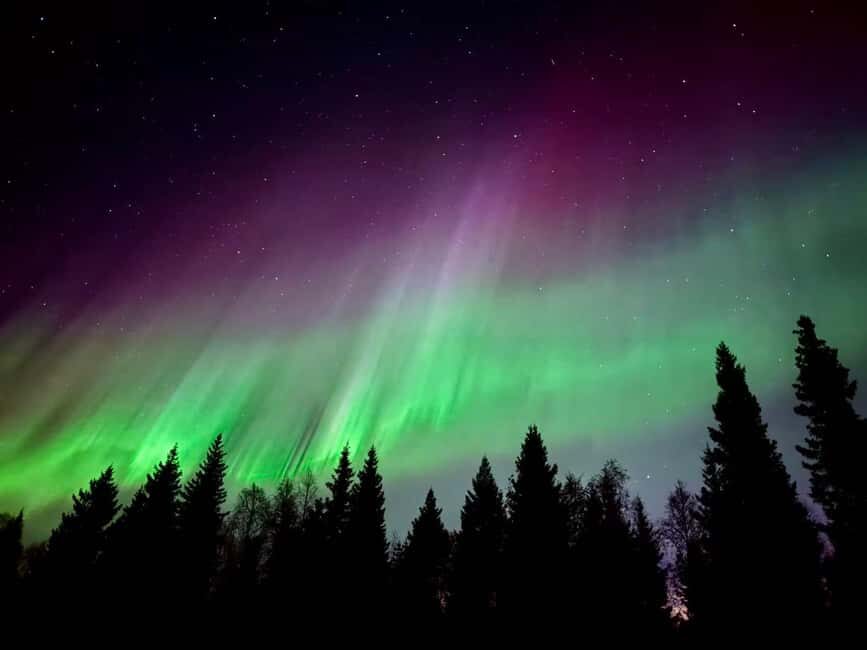 Aurora BBQ in the Private Place in Rovaniemi - Why We Think This Tour Works