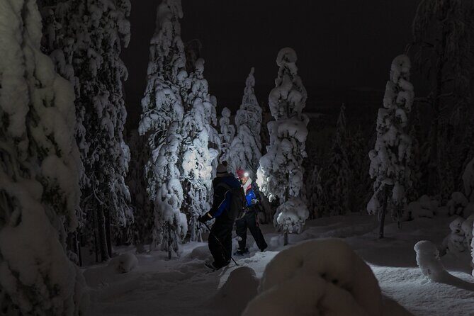 Aurora Borealis Snowshoeing Adventure by Night from Rovaniemi - Who Will Love This Tour?