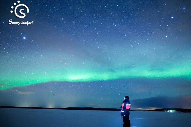 Aurora Borealis Trip in Lapland Lakeside - What to Expect from the Aurora Borealis Trip in Lapland Lakeside