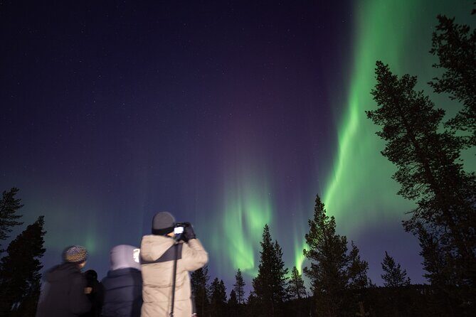Aurora Hunting by Minivan in Ivalo, Inari or Saariselkä - What Travelers Love