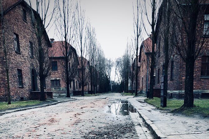 Auschwitz-Birkenau Guided Tour with Private Transport from Krakow - FAQ