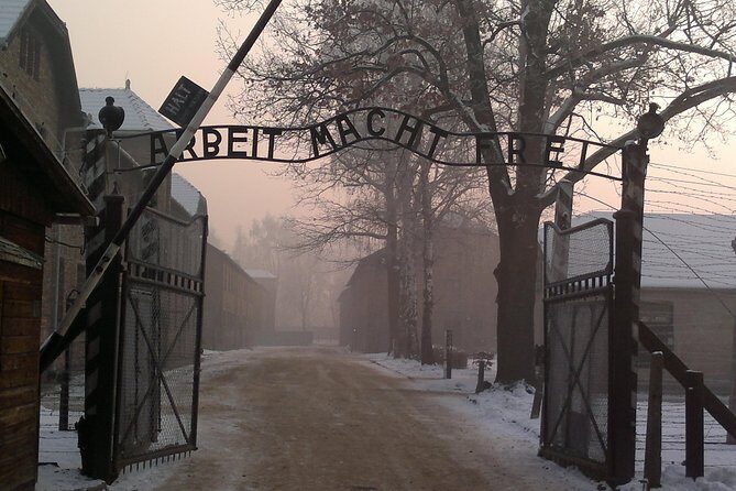 Auschwitz-Birkenau Museum Tour from Krakow - Who Is This Tour Best For?