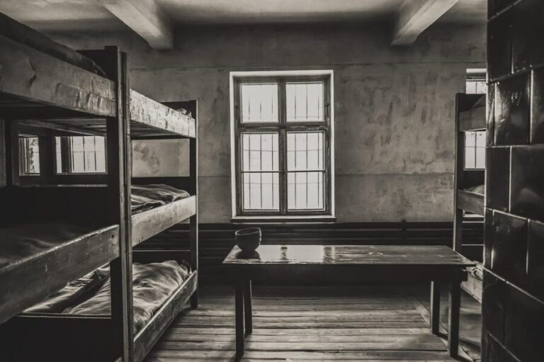 Auschwitz-Birkenau & Salt Mine Tour in One Day from Krakow - Who Should Consider This Tour?