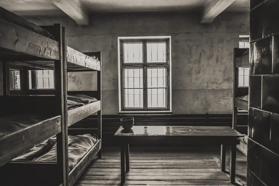 Auschwitz-Birkenau & Salt Mine Tour in One Day from Krakow - Who Should Consider This Tour?