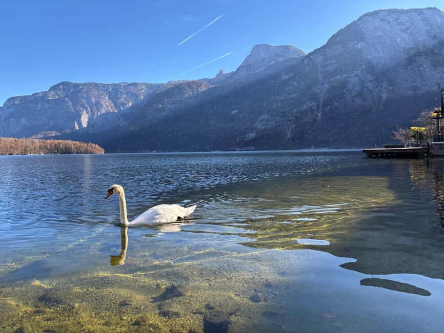 Austria: Hallstatt and Salzburg Day Tour from Vienna - Who Would Love This Tour?