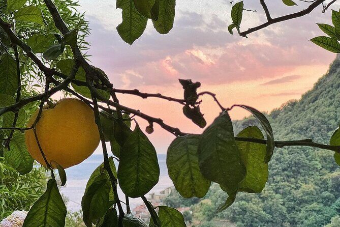 Authentic Amalfi Lemon Tour & Tasting in the Historical Garden - FAQ