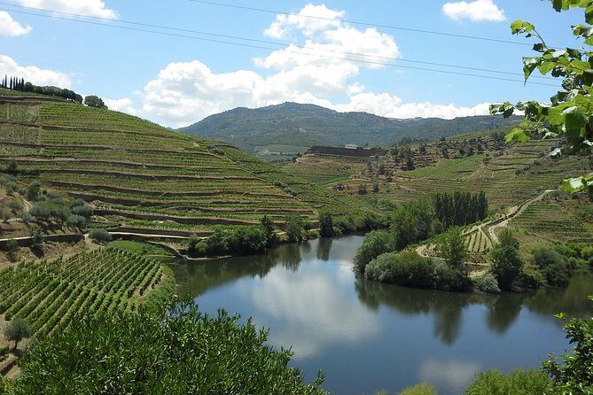 Authentic Douro Valley - small-Group Tour (Max 7) - What’s Included and What’s Not