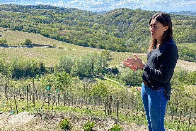 Authentic Piedmont small producers wine tour with a Sommelier - What’s Included and What’s Not