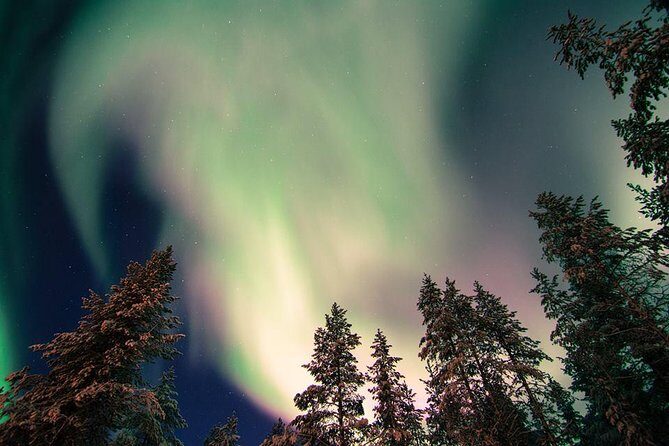 Autumn Aurora Borealis Picnic in Rovaniemi - The Itinerary in Detail