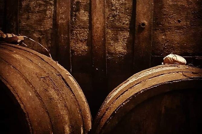 Aveiro Bike Rental - 5/8 hours - What to Expect During Your Aveiro Bike Ride