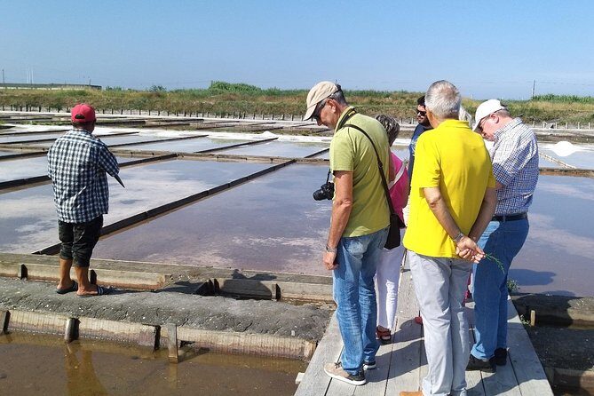 Aveiro & Costa Nova Private Tour  Canals & Striped Houses - Final Thoughts: Who Is This Tour Best For?