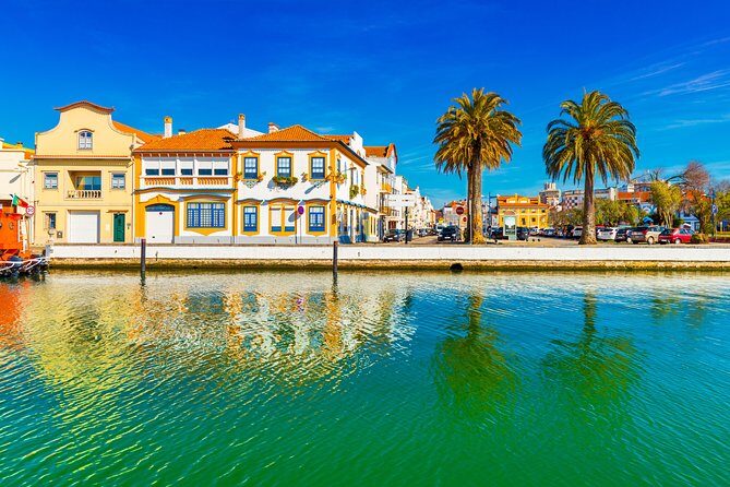 Aveiro Half Day Private Tour Porto w/ Moliceiro River Cruise - Navigating the Itinerary