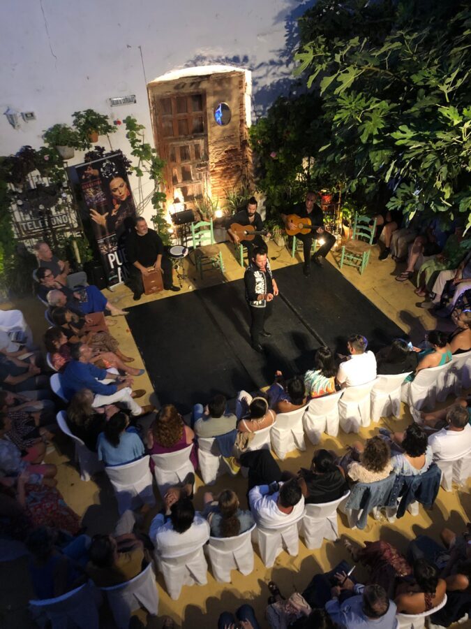 Ayamonte: Live Flamenco Show at Tablao La Puerta Ancha - A Deep Dive into the Flamenco Show Experience