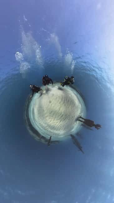 Ayia Napa: Musan Underwater Museum Scuba Dive - No Certification, No Problem