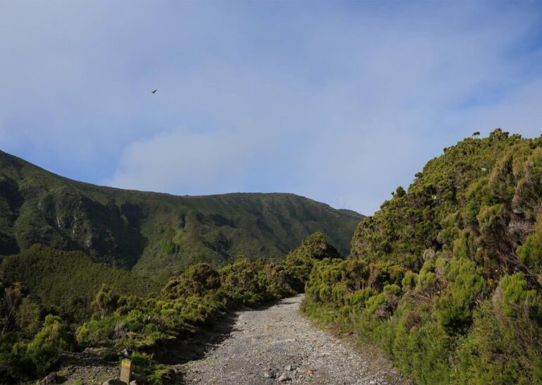 Azores: São Miguel and Lagoa do Fogo Hiking Trip - The Practicalities: What’s Included and What to Bring