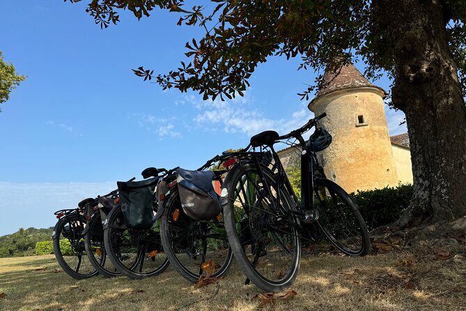 Backcountry E-Bike Adventure from Bordeaux: Wine Tasting & Lunch - The Value of This Tour
