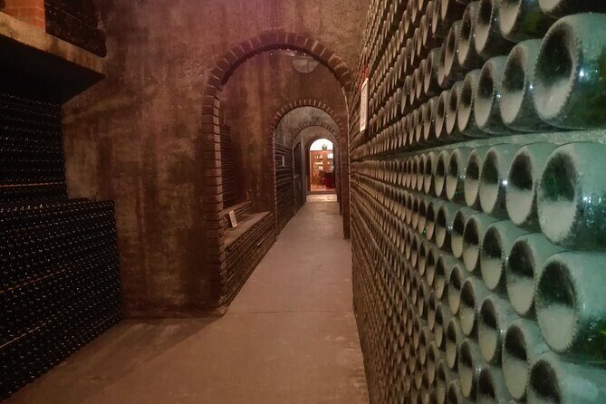 Bairrada Winery Route, half day from Coimbra - Practical Details and Tips