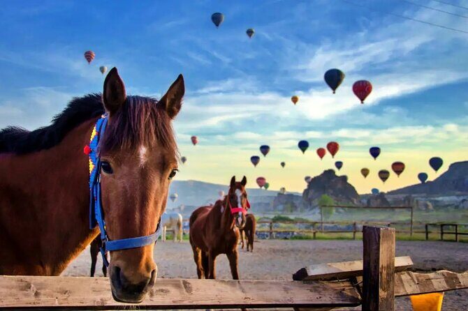 Balloon Watching Tour in Cappadocia with Hotel Pick-Up & Drop-Off - Final Thoughts on Value and Experience