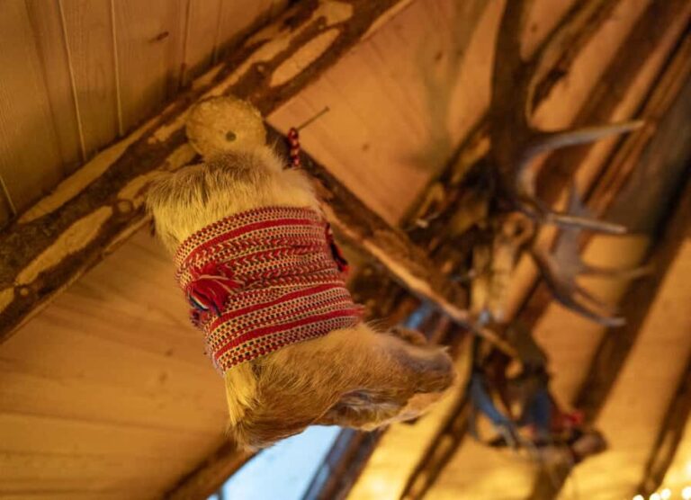 Balsfjord: Reindeer Sledding, Feeding & Sámi Culture - Practicalities & Tips