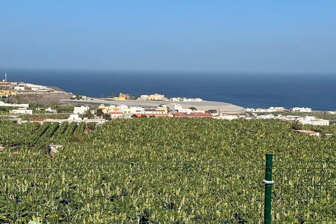 Banana Museum, Rum Distillery & Winery with Tasting: Premium tour - Price and Value Analysis