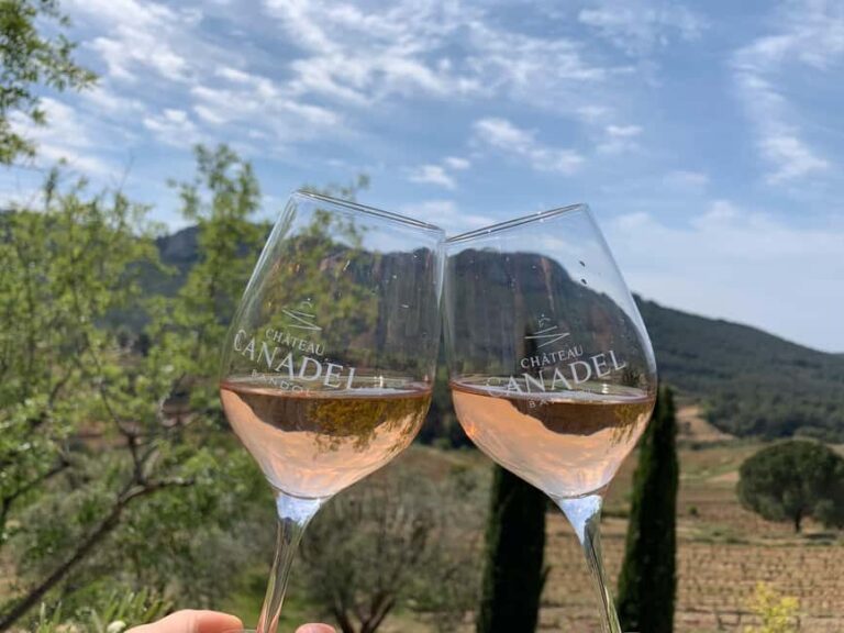 Bandol: Family Vineyard Tour and Tasting - A Closer Look at the Tour Experience