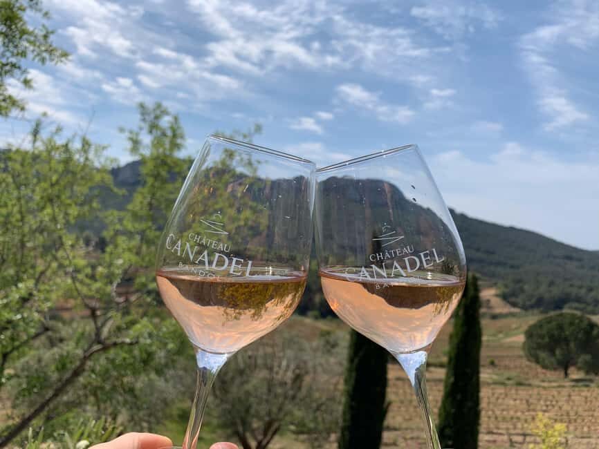 Bandol: Family Vineyard Tour and Tasting - A Closer Look at the Tour Experience