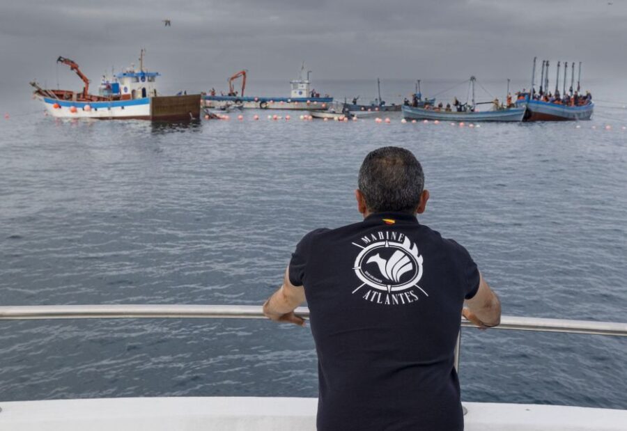 Barbate: La Breña Natural Park and Cape Trafalgar Boat Trip - Who Is This Tour Best Suited For?