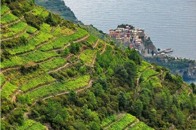 BarCa Winery Cinqueterre Trekking & Wine Tasting & Pesto Class - The Practical Side: What to Expect