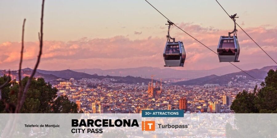Barcelona: All-Inclusive City Pass & Public Transport Option - Who Will Love This Pass?