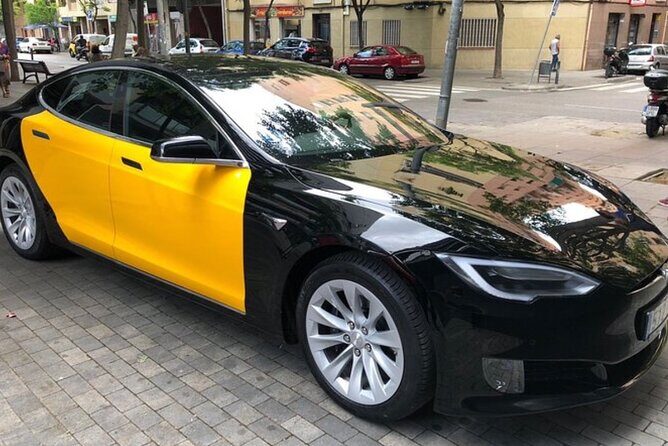 Barcelona City to Cruise Port Private Transfer - The Booking Process and Flexibility