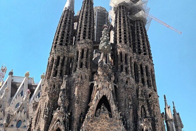 Barcelona Highlights Bike Tour - Final Thoughts on the Barcelona Highlights Bike Tour