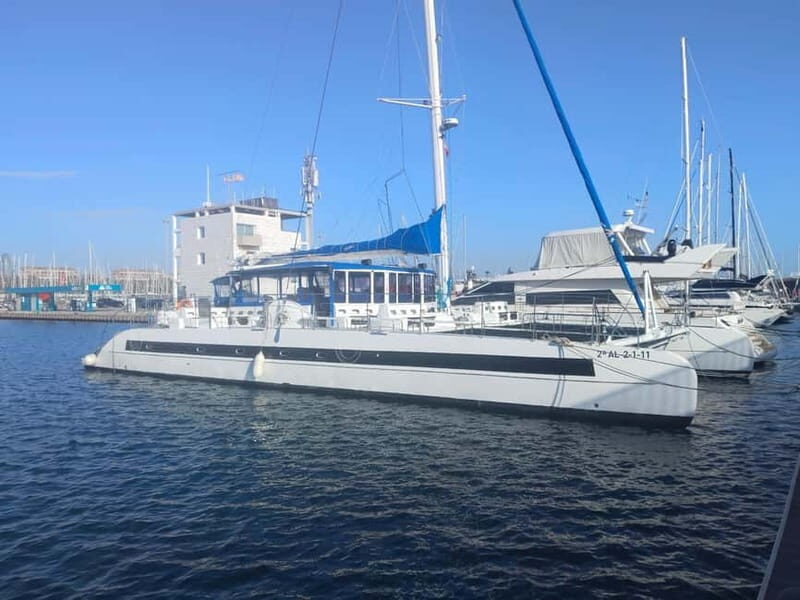 Barcelona: Shared cruise with chill music (+welcome drink) - What to Expect