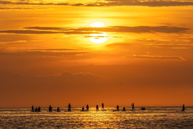 Barcelona: Sunrise Paddle Surf with Instructor and Photos - Why This Tour Is a Great Pick for Travelers