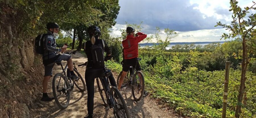 Bardolino: e-bike tour and wine tasting on the hills - A Closer Look at the Tour Experience